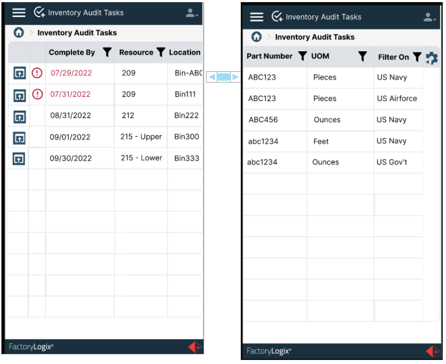 Inventory Audit Tasks window